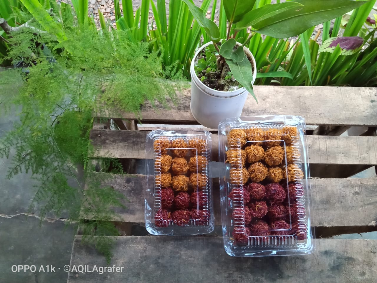 grubi_enak - InstanApp 🔥