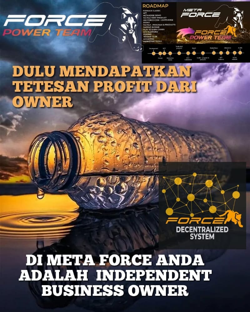 META FORCE ECOSYSTEM